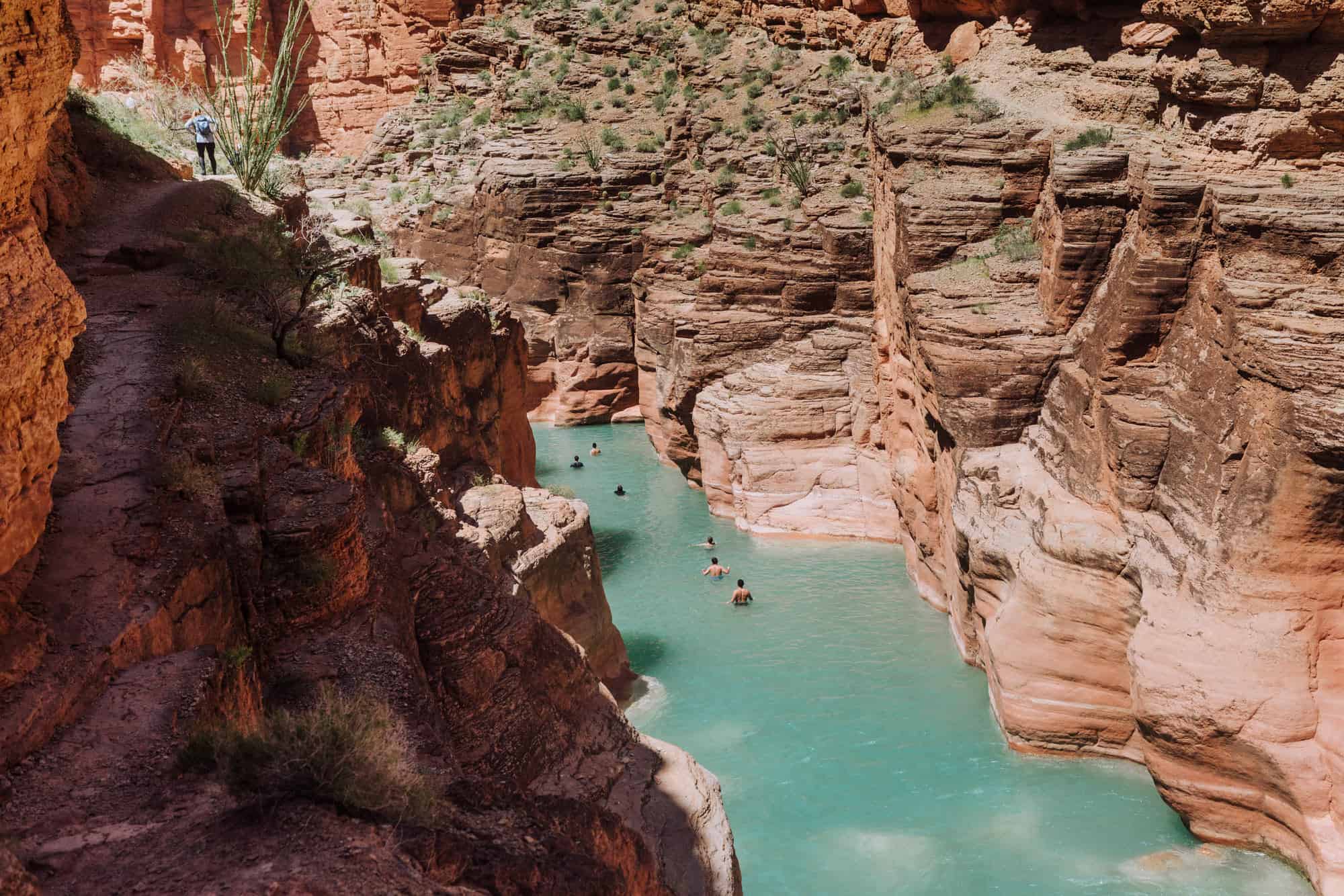 Historic Flash Flooding at Havasupai Falls – Arizona Detours