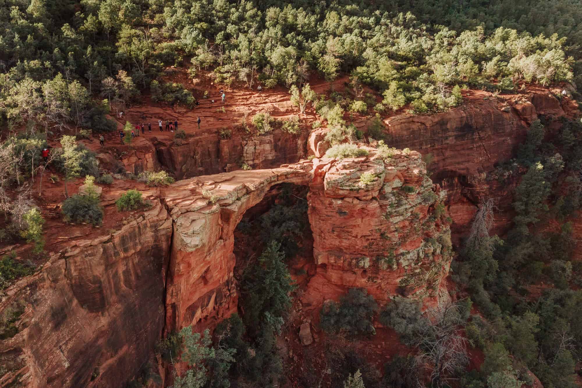 Hike Devil’s Bridge: Sedona’s Iconic Red Rock Arch – Arizona Detours