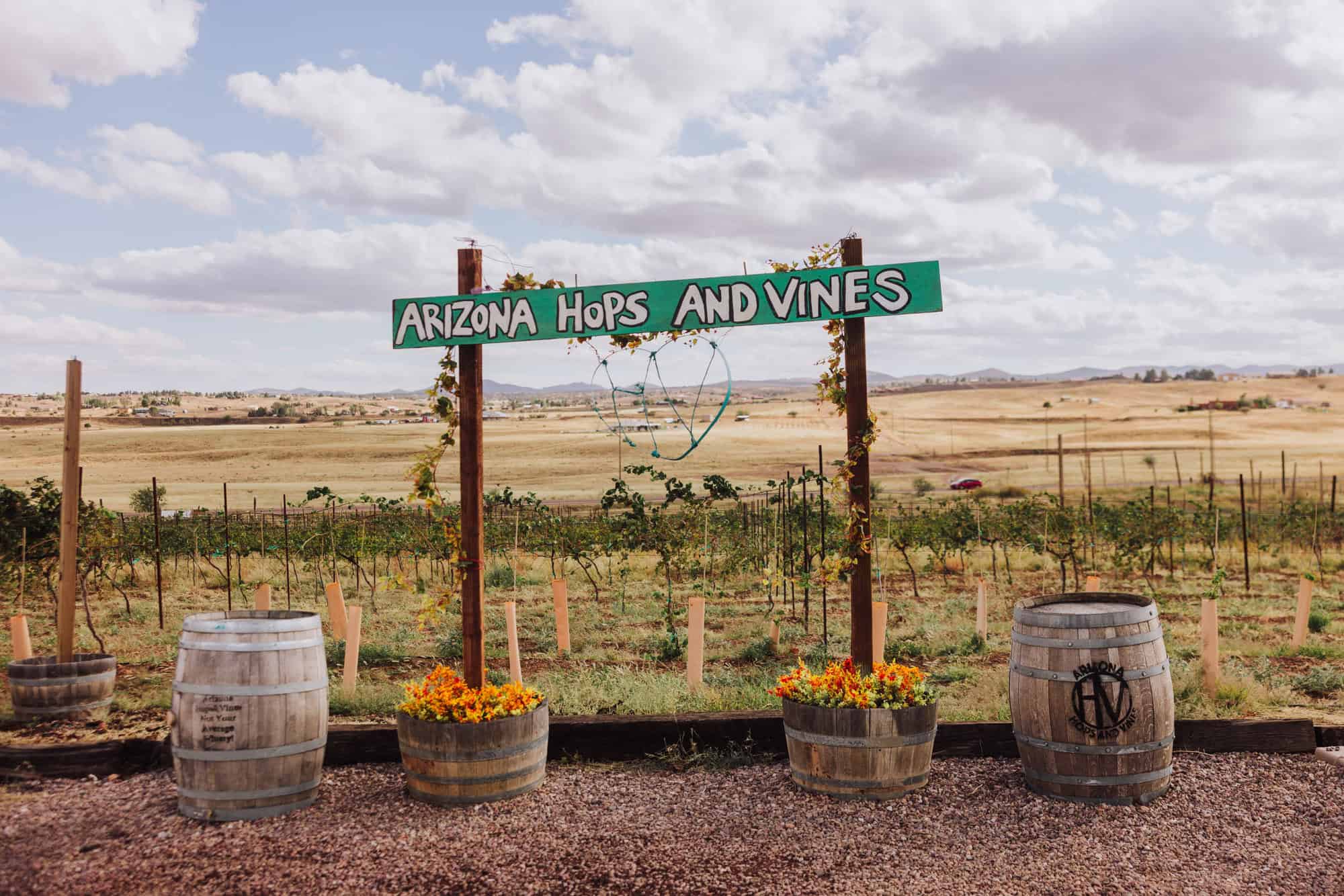 Visit Arizona Wine Country: Vineyards in Sonoita & Elgin – Arizona Detours