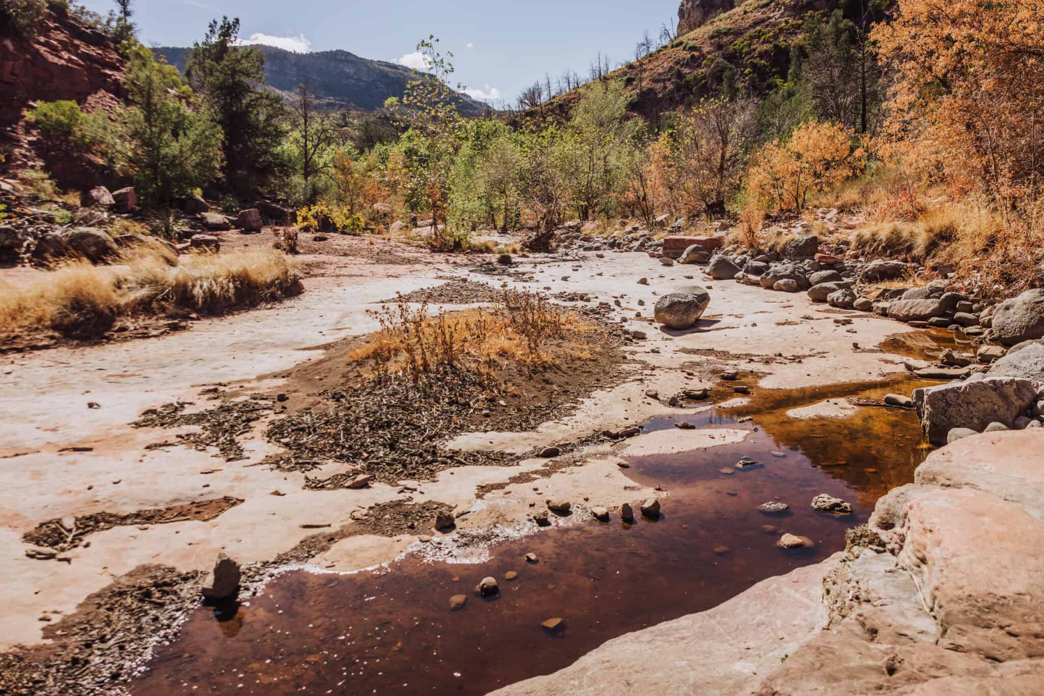 Fossil Springs: Hike The Bob Bear Trail to the Waterfall – Arizona Detours