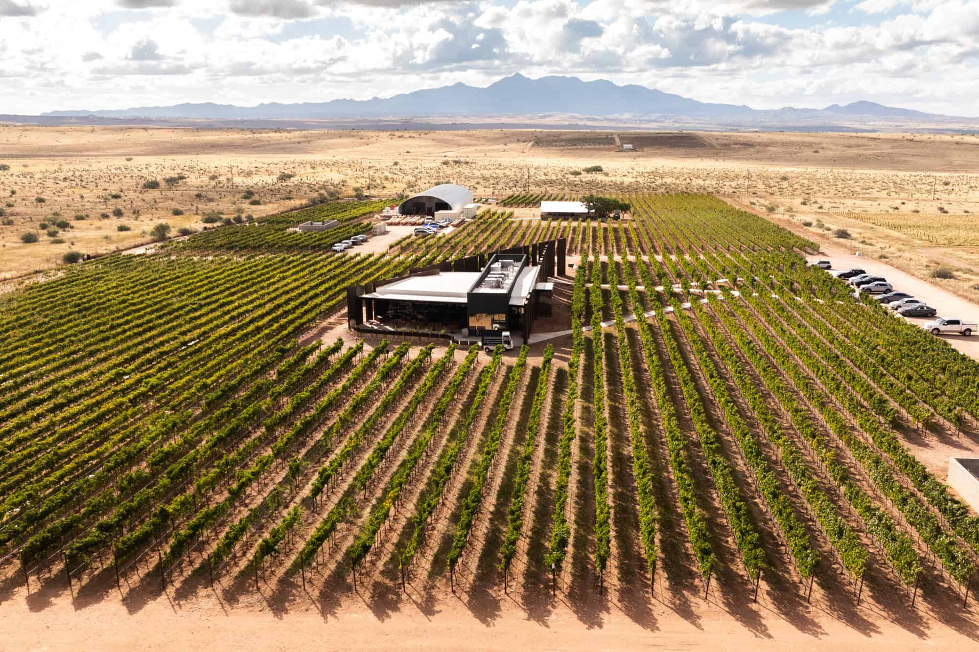 Visit Arizona Wine Country: Vineyards in Sonoita & Elgin – Arizona Detours