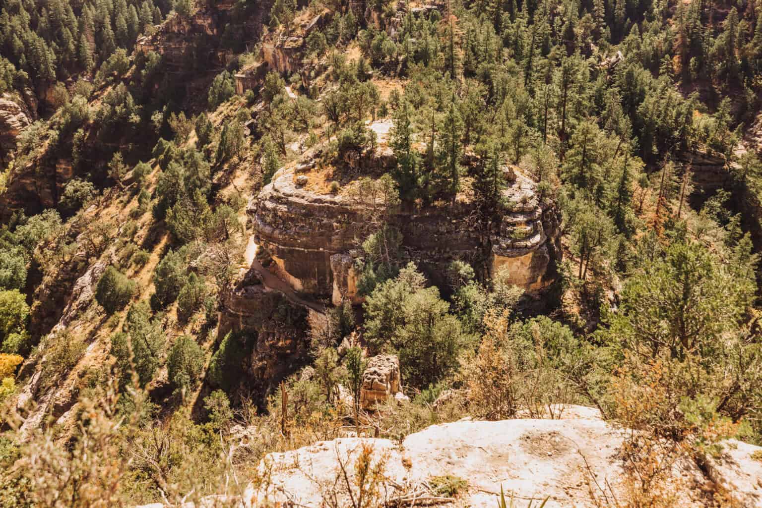 Walnut Canyon National Monument: Explore Ancient Life in the Cliffs ...