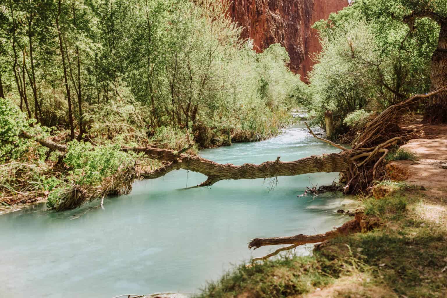 Havasupai Falls in April: A Perfect Time to Hike & Camp – Arizona Detours
